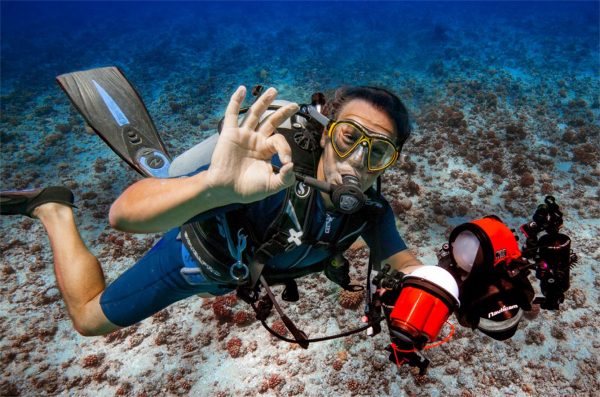 A propos - David Strano